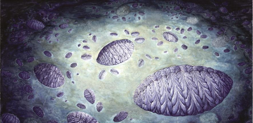 Earliest evidence of reproduction in a complex organism | University of ... Earliest evidence of reproduction in a complex organism | University of ...